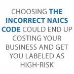 How to Avoid High Risk NAICS Codes | Get More Funding Now |Credit Suite