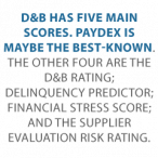 Dun and Bradstreet Rating: Get Your D&B Business Credit Report